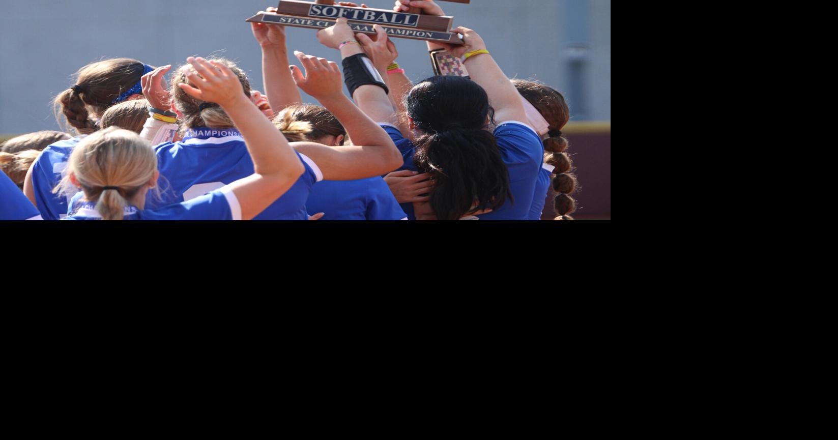 Lake Crystal Wellcome Memorial finishes their story | Local Sports ...