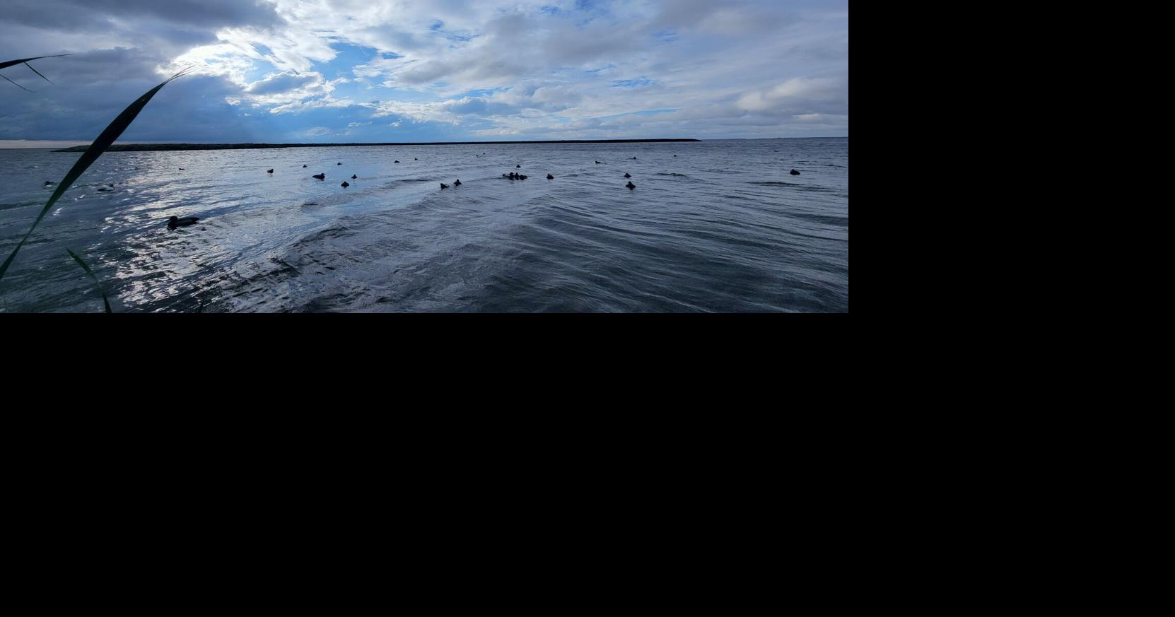 Mackenthun: Manitoba wetland is waterfowlers' paradise | Local Sports ...
