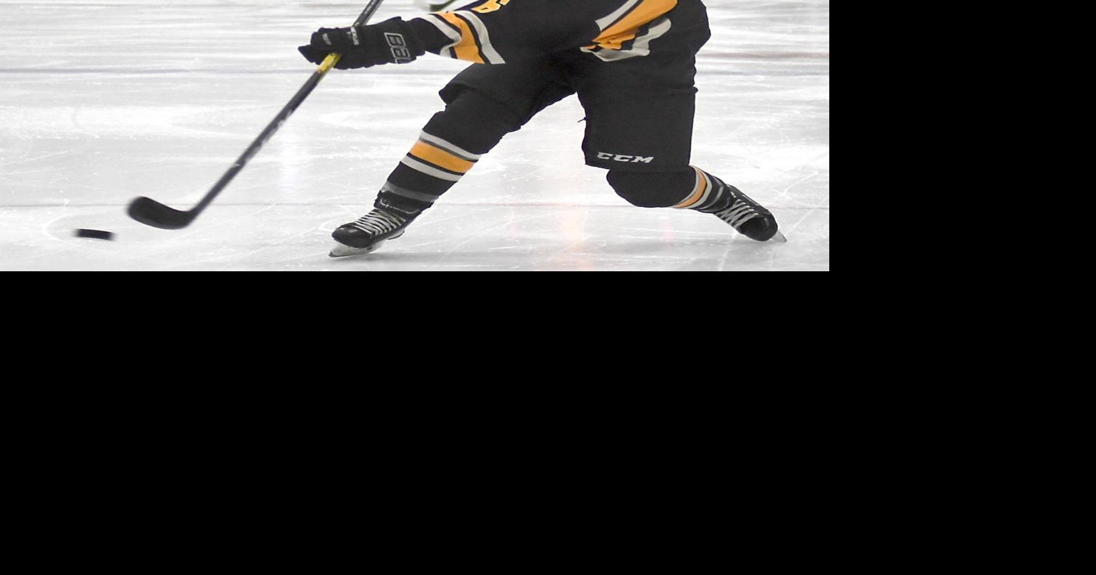 Mankato East/Loyola boys hockey relies on Salzle's BIG SHOT | Local ...