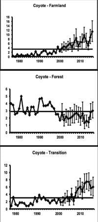 Coyote population on the rise | Local News | mankatofreepress.com