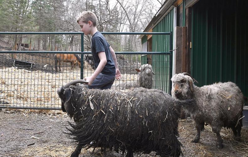 Where the green grass grows | Features | mankatofreepress.com