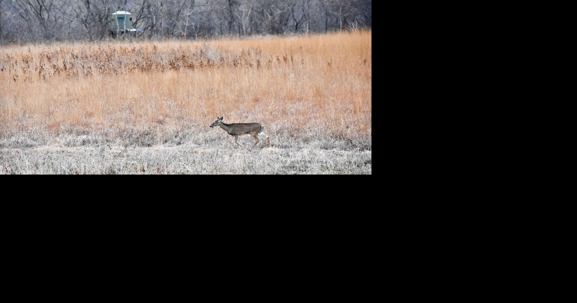 Hunting season provides plenty of adventures for enthusiasts | Outdoors ...