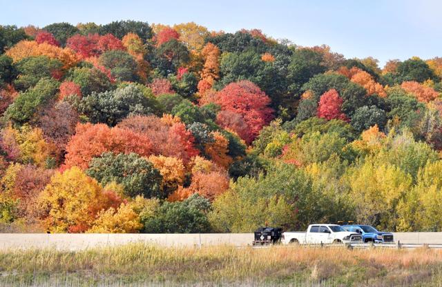 Robust fall color still lacking in Mankato area but now glorious up ...