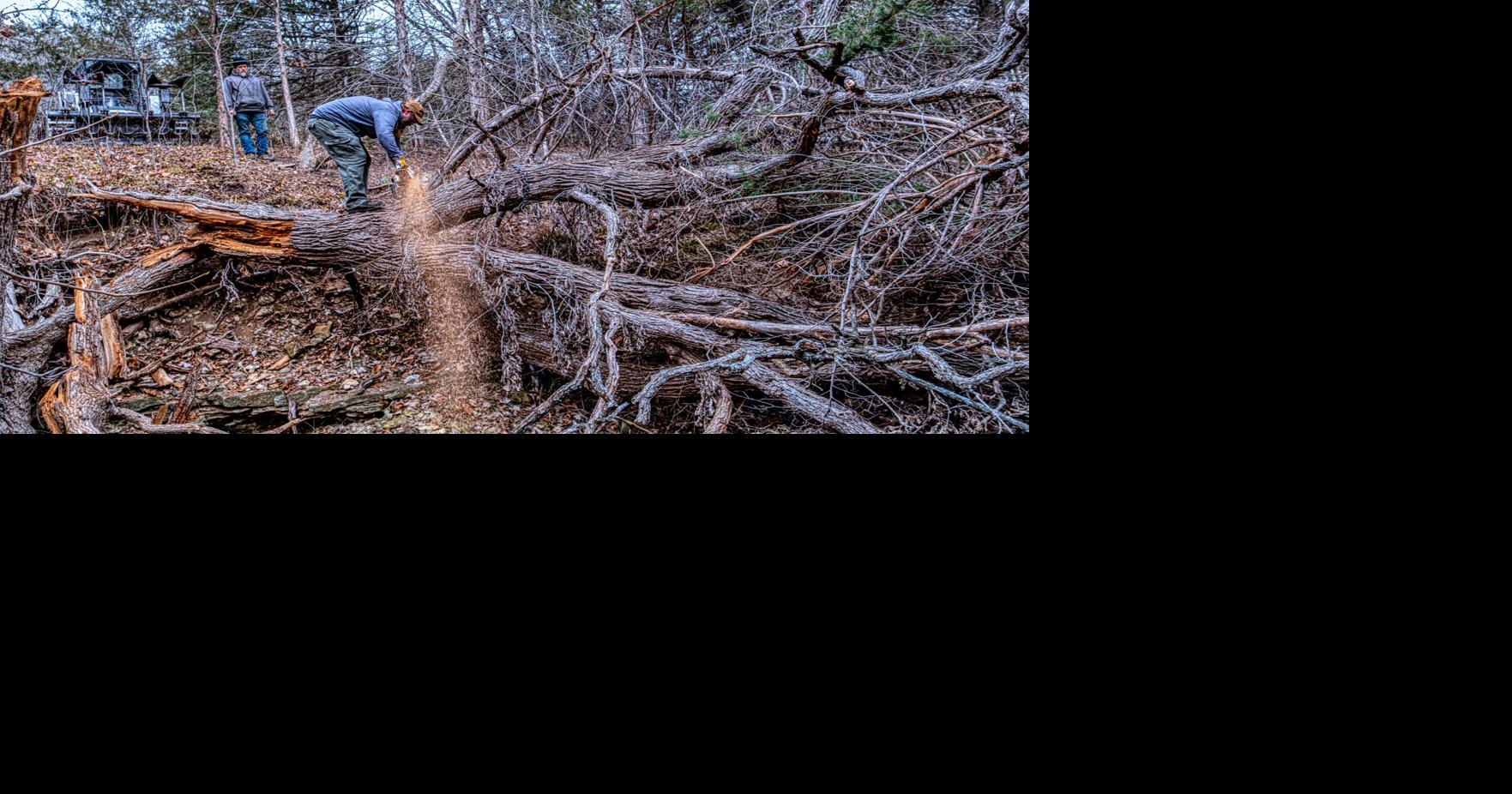 Storm cleanup continues at Alcove | News | marysvilleonline.net