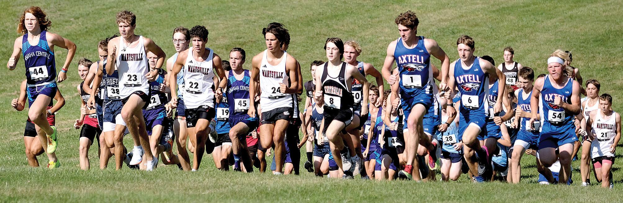 Dogs win as team by 1 point | Sports | marysvilleonline.net