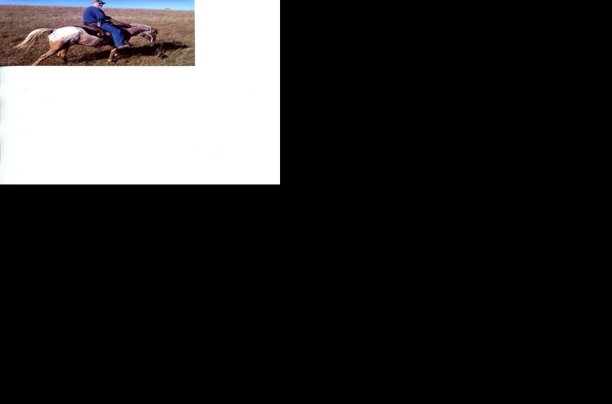 BRADLEY HULL | Obituaries | marysvilleonline.net