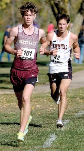 Dog harriers to state | Sports | marysvilleonline.net