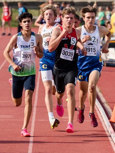 State tests Dogs | Sports | marysvilleonline.net