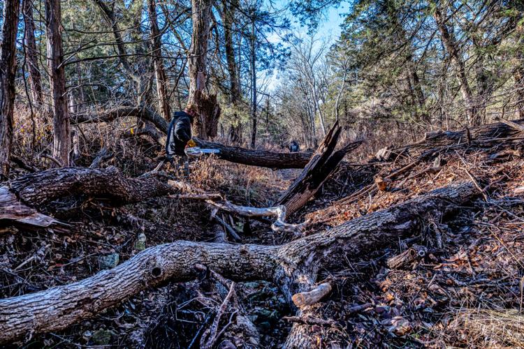 Storm cleanup continues at Alcove | News | marysvilleonline.net