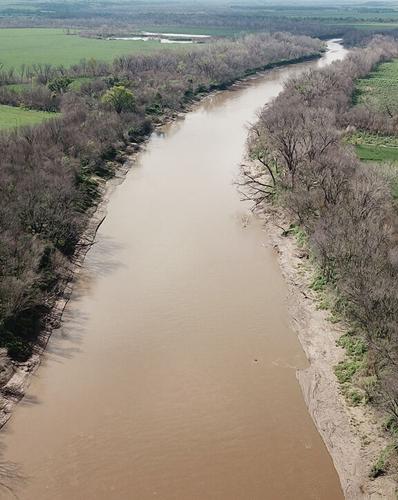 Vegetation along Big Blue River suffers from months of Tuttle Creek Dam ...