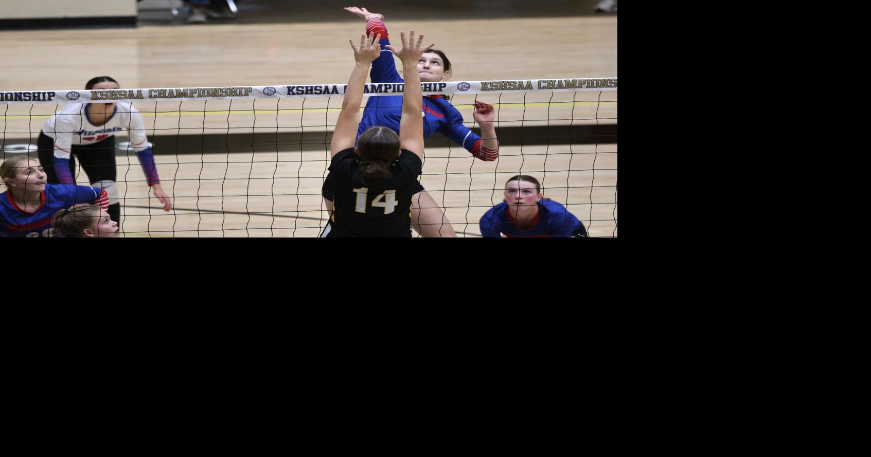 Area teams to compete for state volleyball titles on Saturday | Sports ...