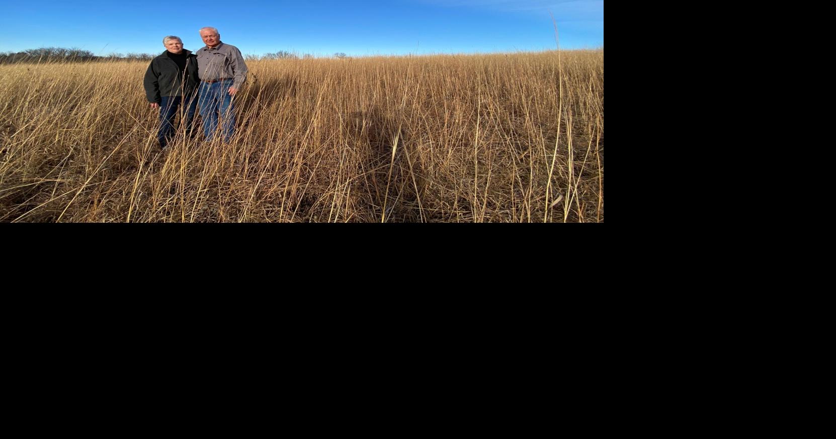 Horigan focuses on battling invasive Old World Bluestem | Family Living ...