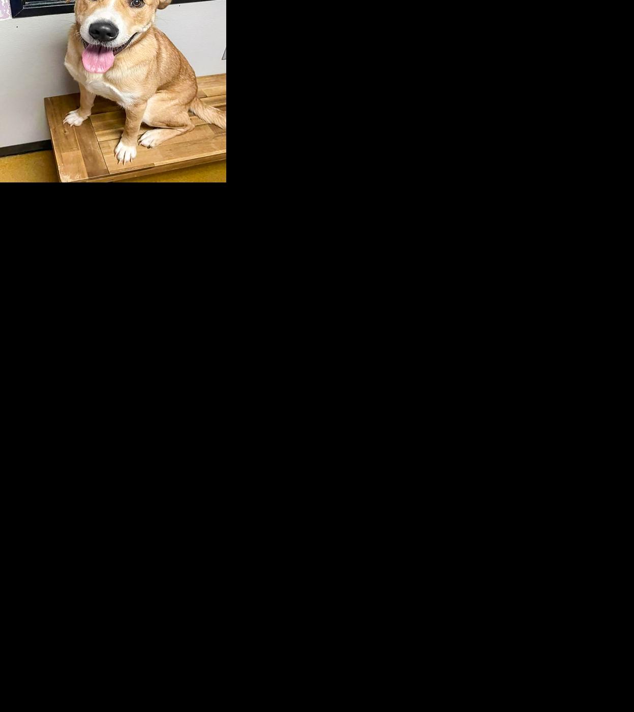 Jimmy Chew | Features | Maryville Forum