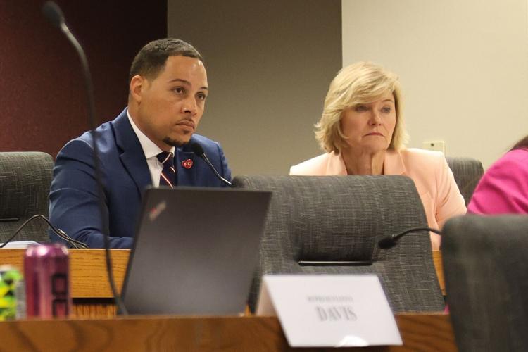 Rep. Kathy Steinhoff turns focus to younger constituents | State and ...