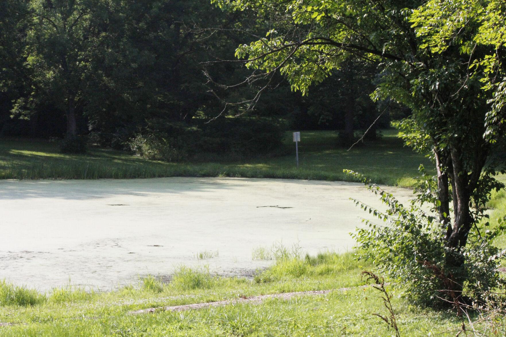 Mozingo to add kayak vending machine | News | Maryville Forum