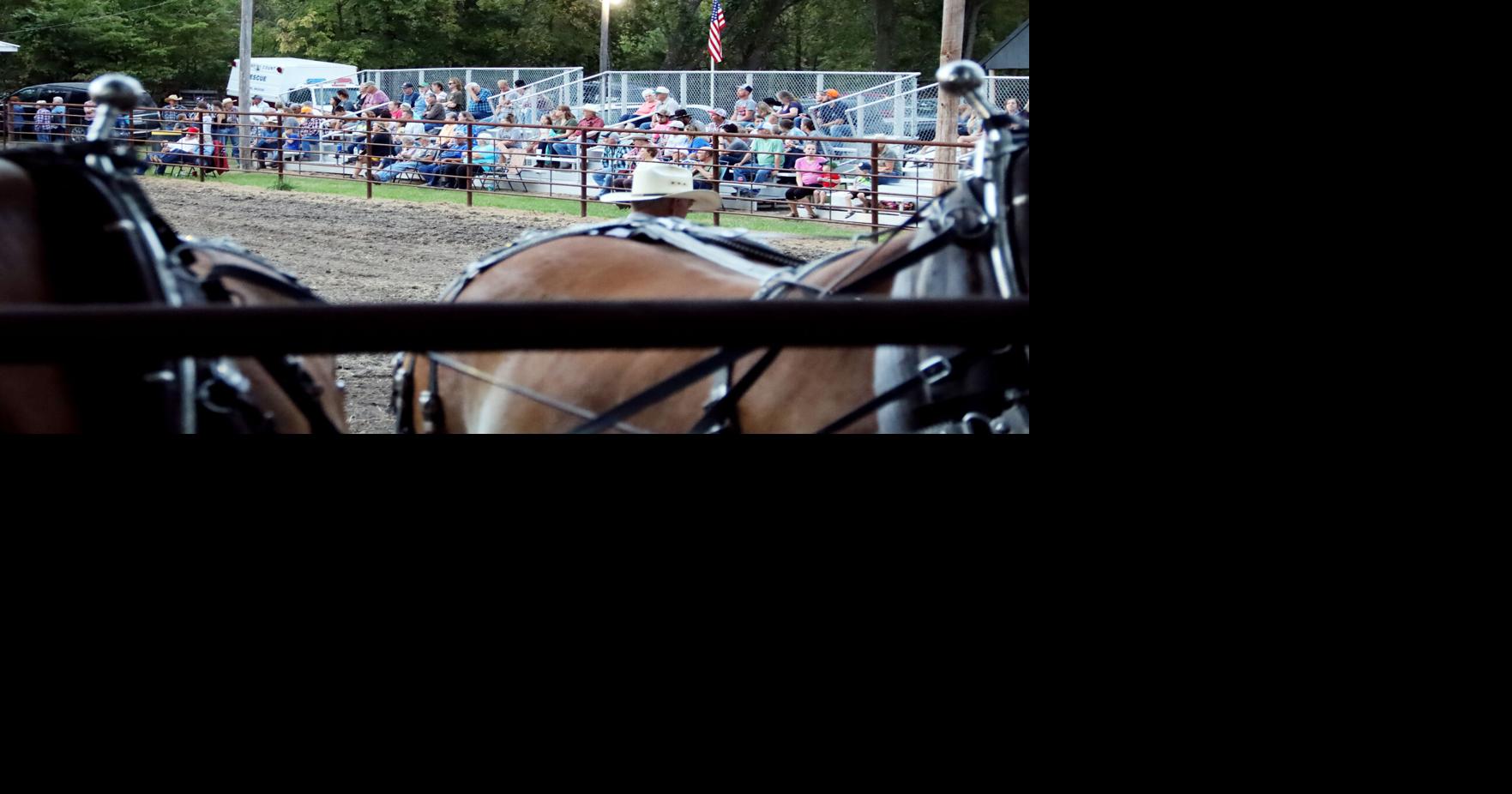 Pickering Lions Club hosts 84th annual horse show | Features ...