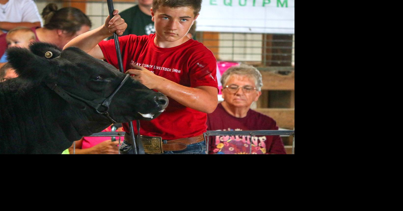GALLERY: 4-H/FFA Livestock Show | Gallery | Maryville Forum