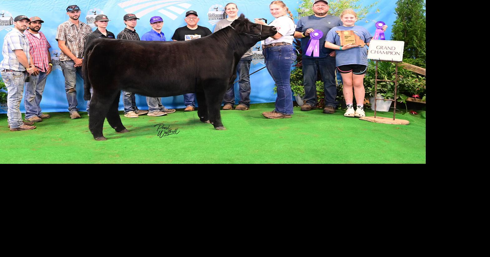 Local FFA, 4-H members take part in Missouri State Fair | News ...