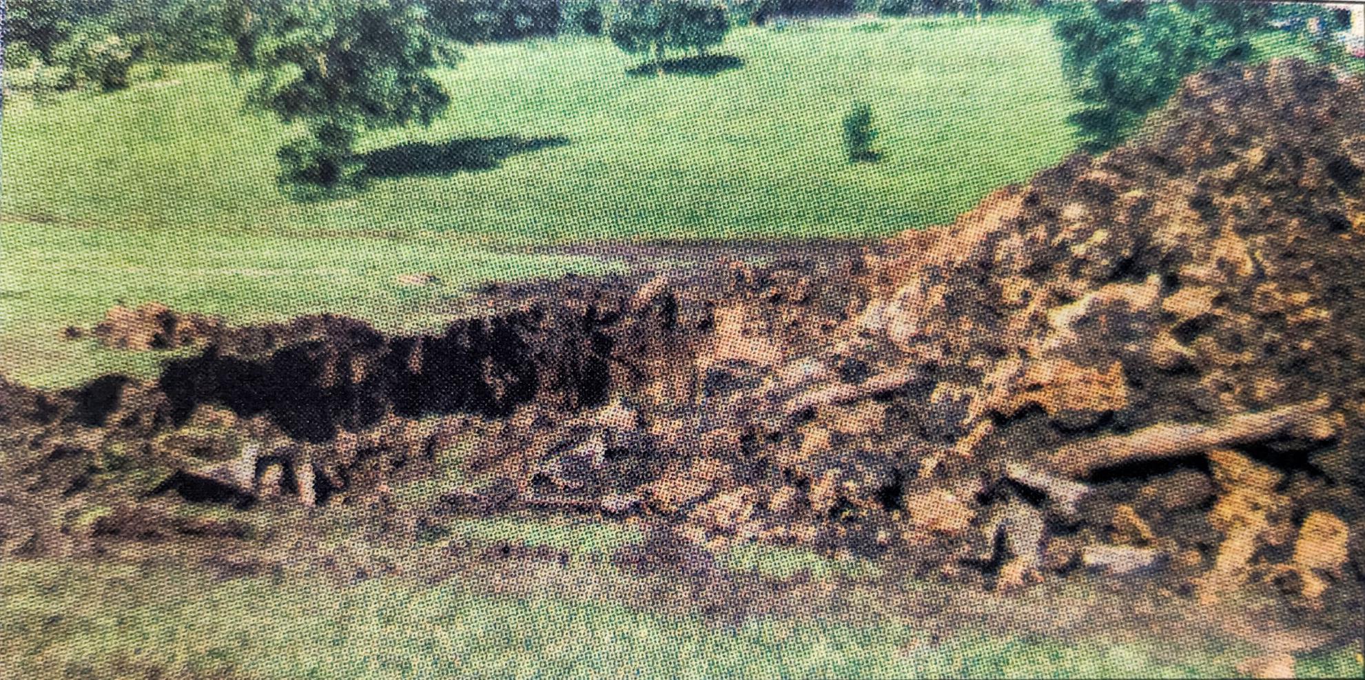 Laying out the evidence after renewed interest in Branson Perry case ...