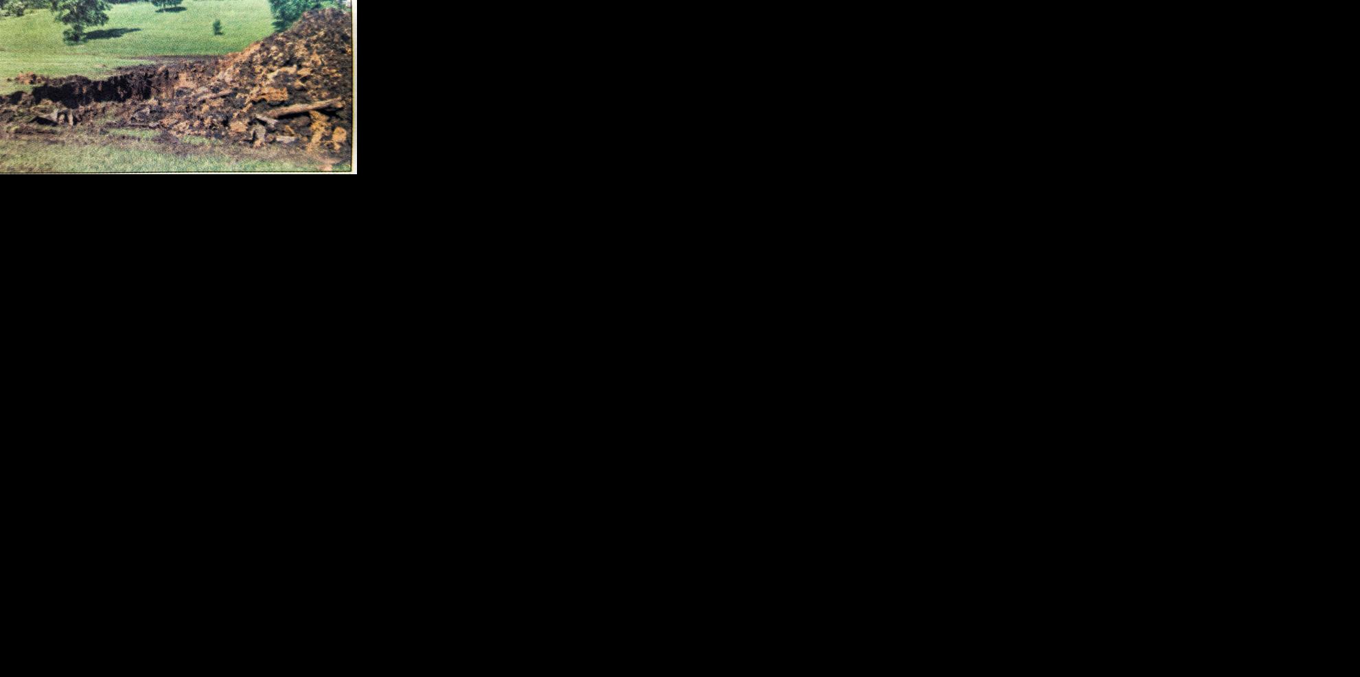 Laying out the evidence after renewed interest in Branson Perry case ...