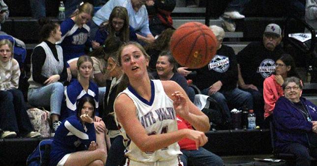 Collins, Mattson power Platte Valley to Albany title | Sports ...
