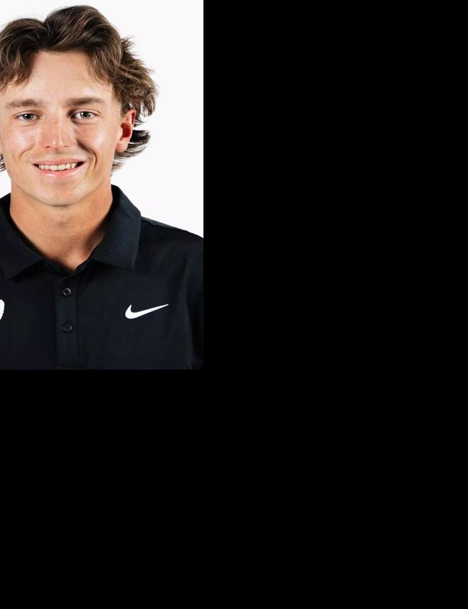 Mizzou men's golfer Viskari earns NCAA regional berth | State and ...