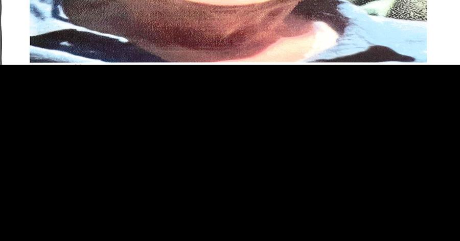 Sandra Maxwell | Obituaries | Maryville Forum