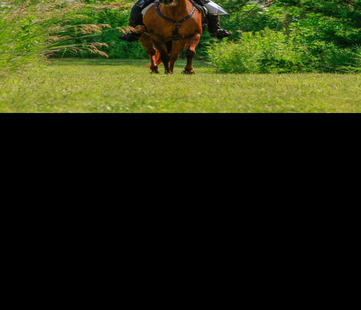 Nationally sanctioned competitive trail ride and clinic returns to ...