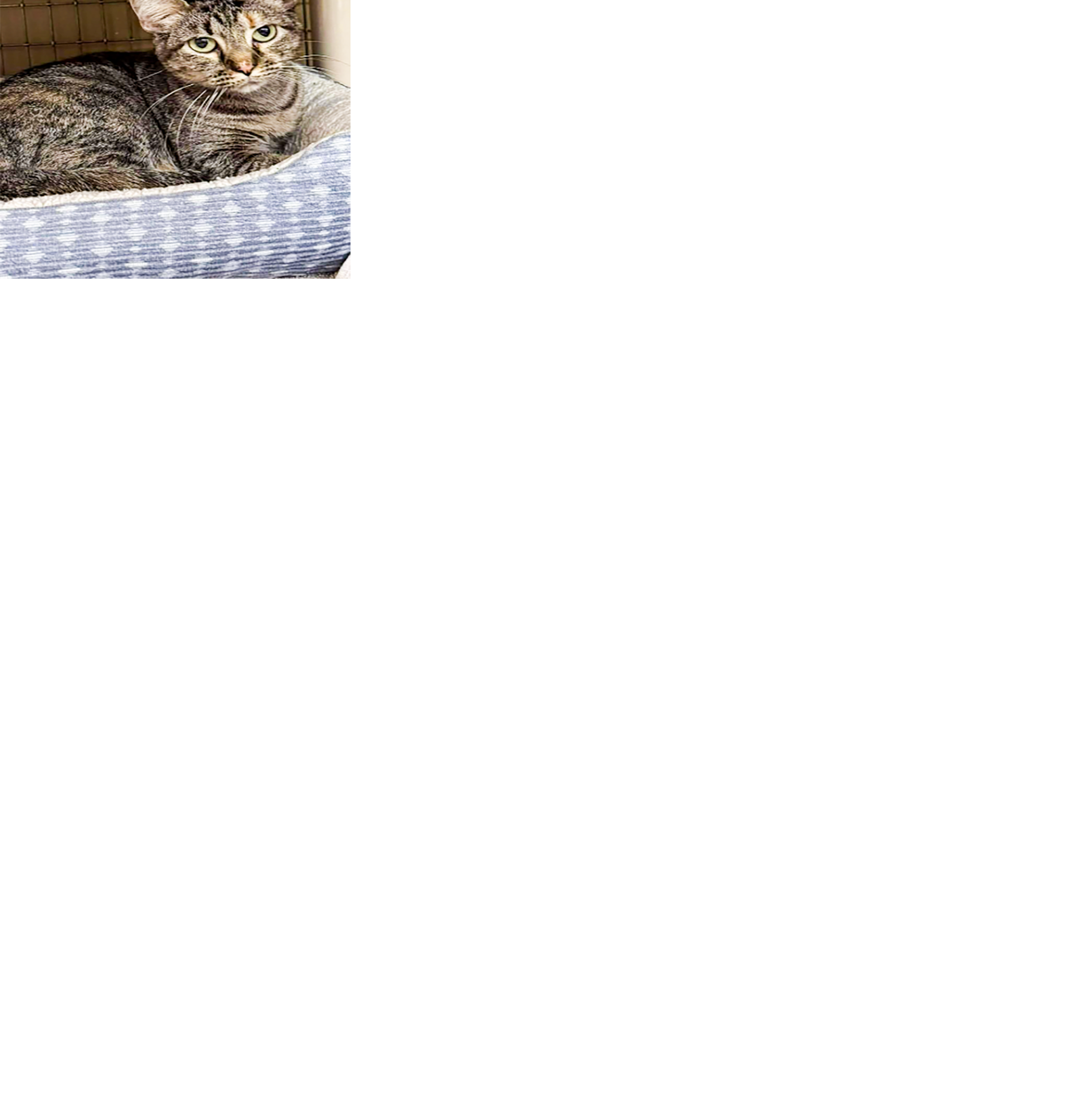 Milly | Features | Maryville Forum