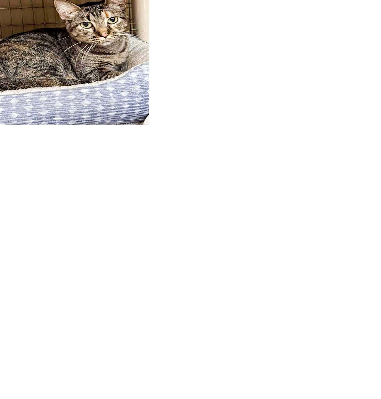 Milly | Features | Maryville Forum