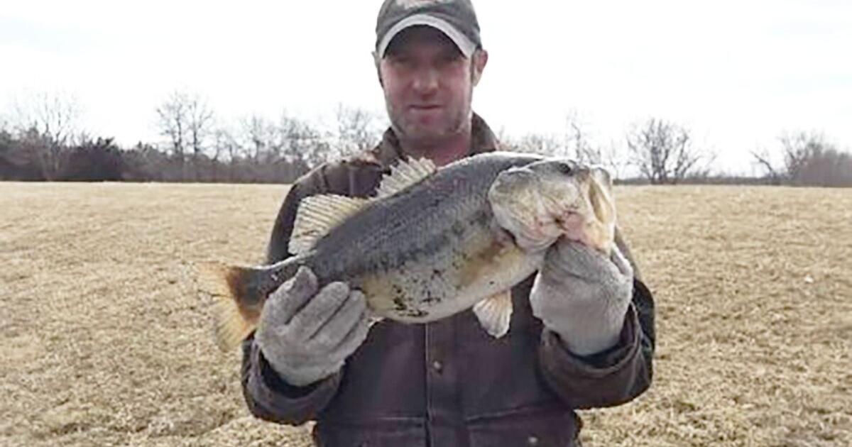 David Ray Hostetler | Obituaries | Maryville Forum