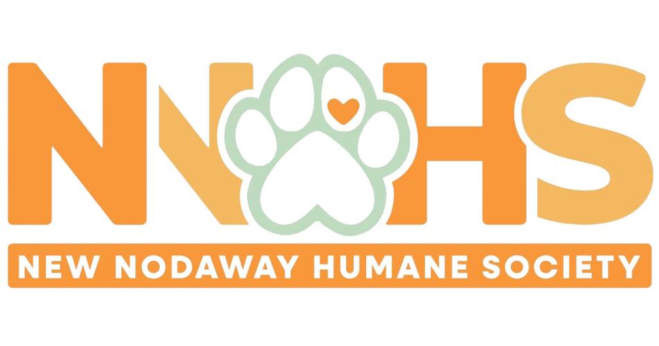 NNHS changes brand, not focus | Features | Maryville Forum