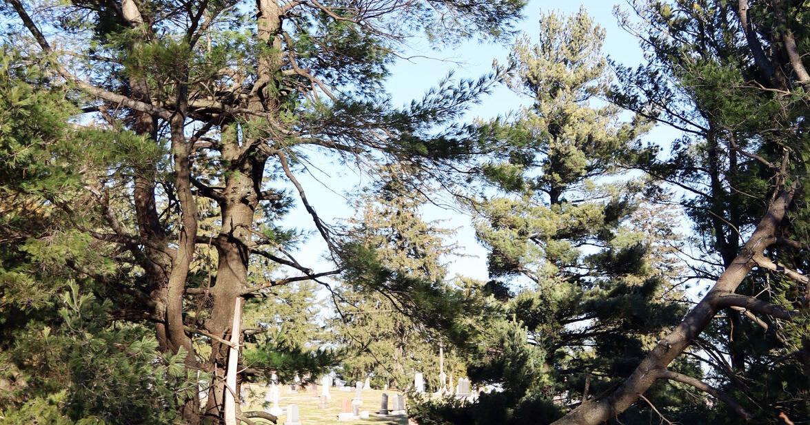 Storm classified as rare serial derecho | News | Maryville Forum