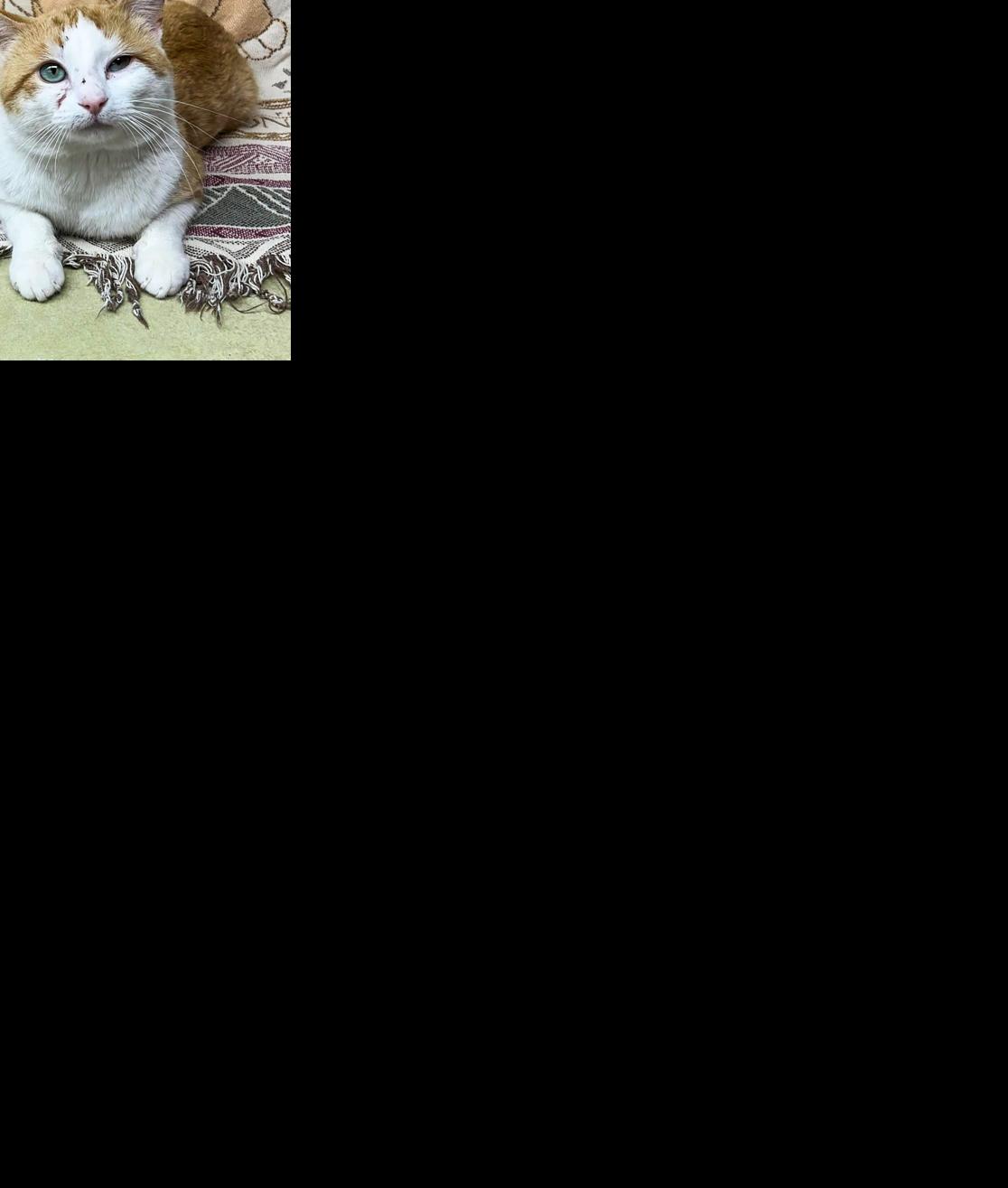 Mator | Features | Maryville Forum