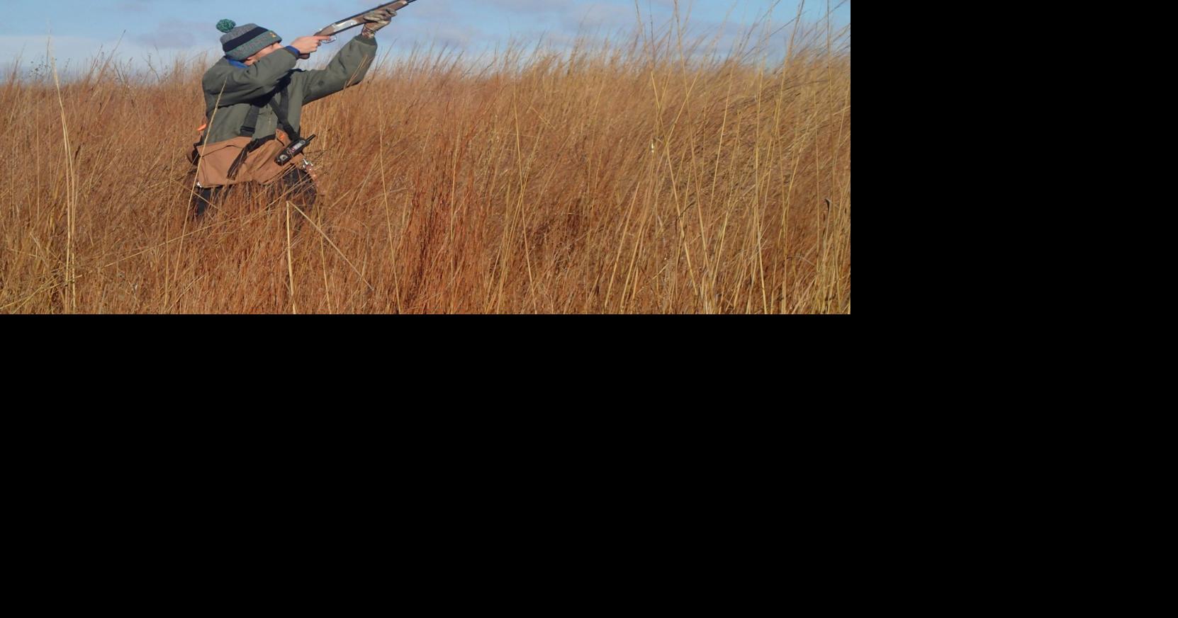 Bird Hunters United field trials return to Mozingo | Features ...