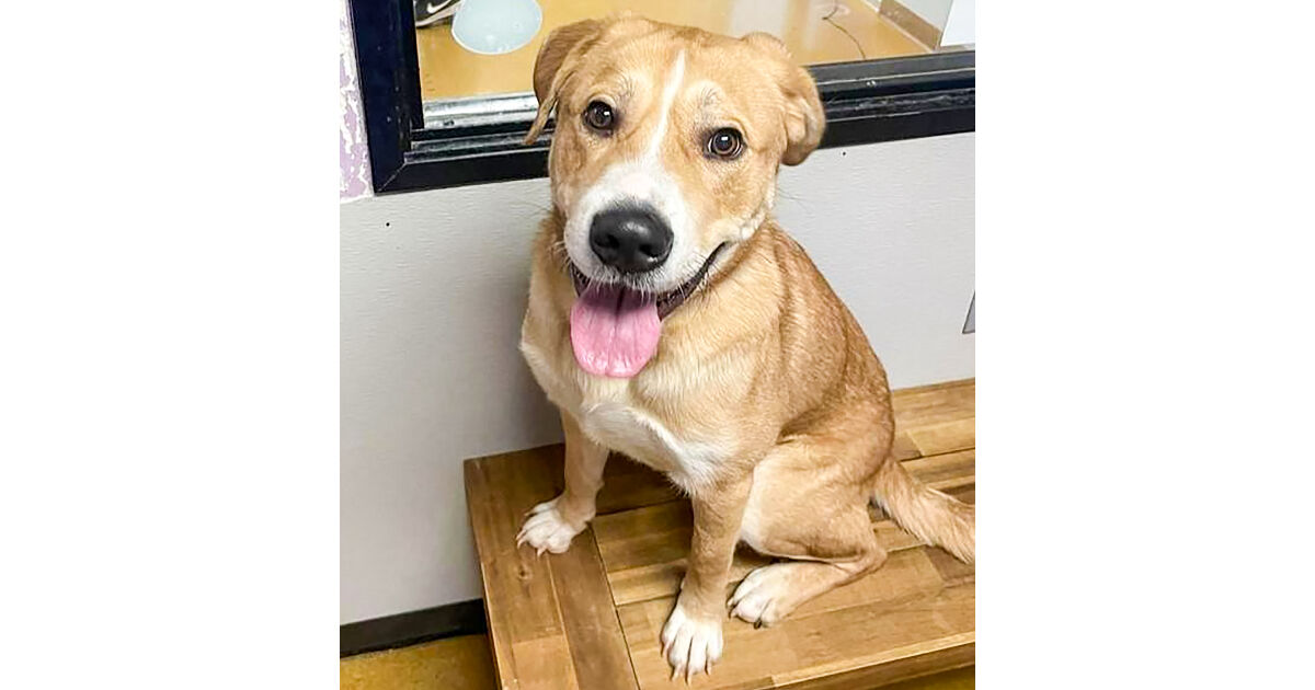 Jimmy Chew | Features | Maryville Forum