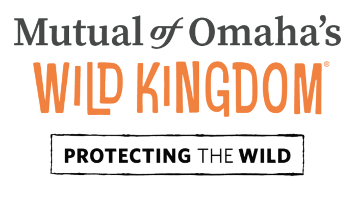 Wild Life: ‘Mutual of Omaha’s Wild Kingdom’ Rebooted with Peter Gros | Featured | mbj.com