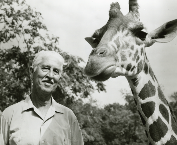 Wild Life: ‘Mutual of Omaha’s Wild Kingdom’ Rebooted with Peter Gros ...