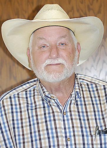 Boggs out to early lead in state Senate race | News | mcalesternews.com