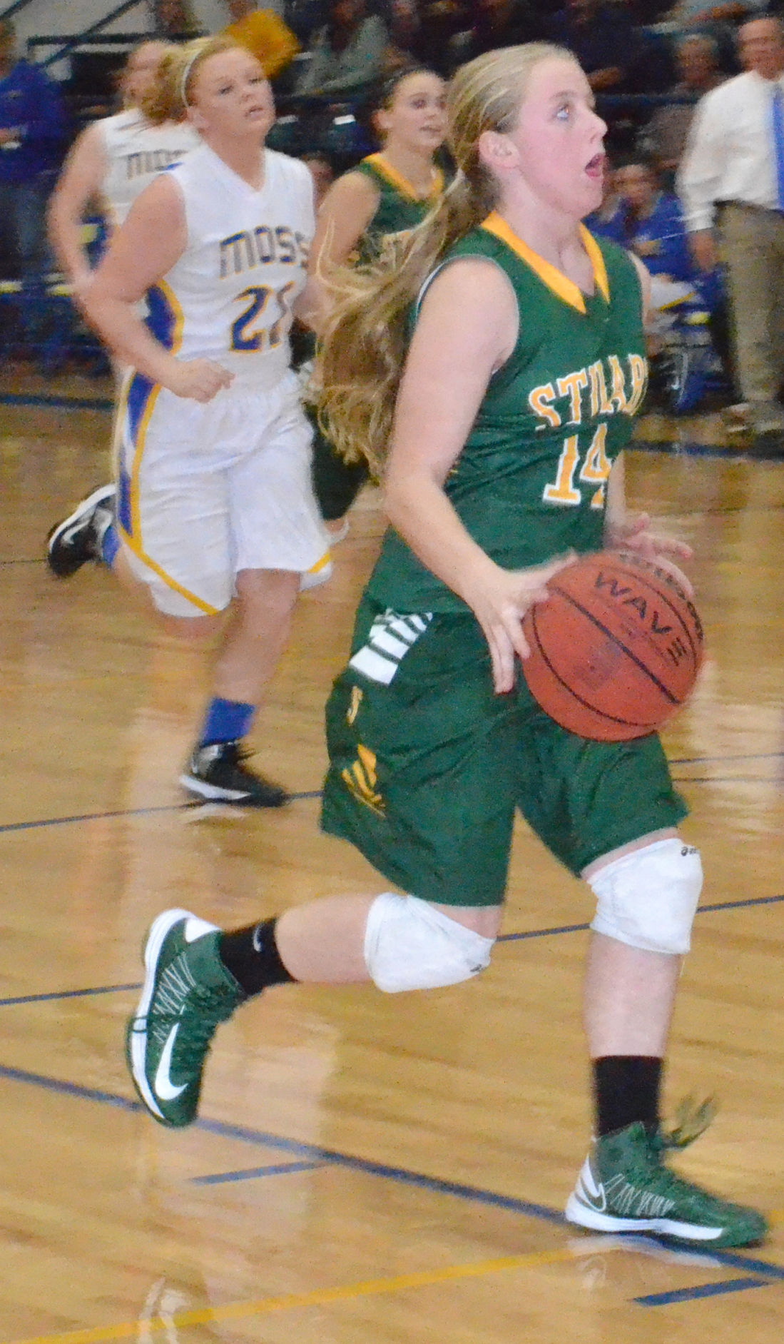 Lady Hornets sink Lady Pirates | Local Sports | mcalesternews.com