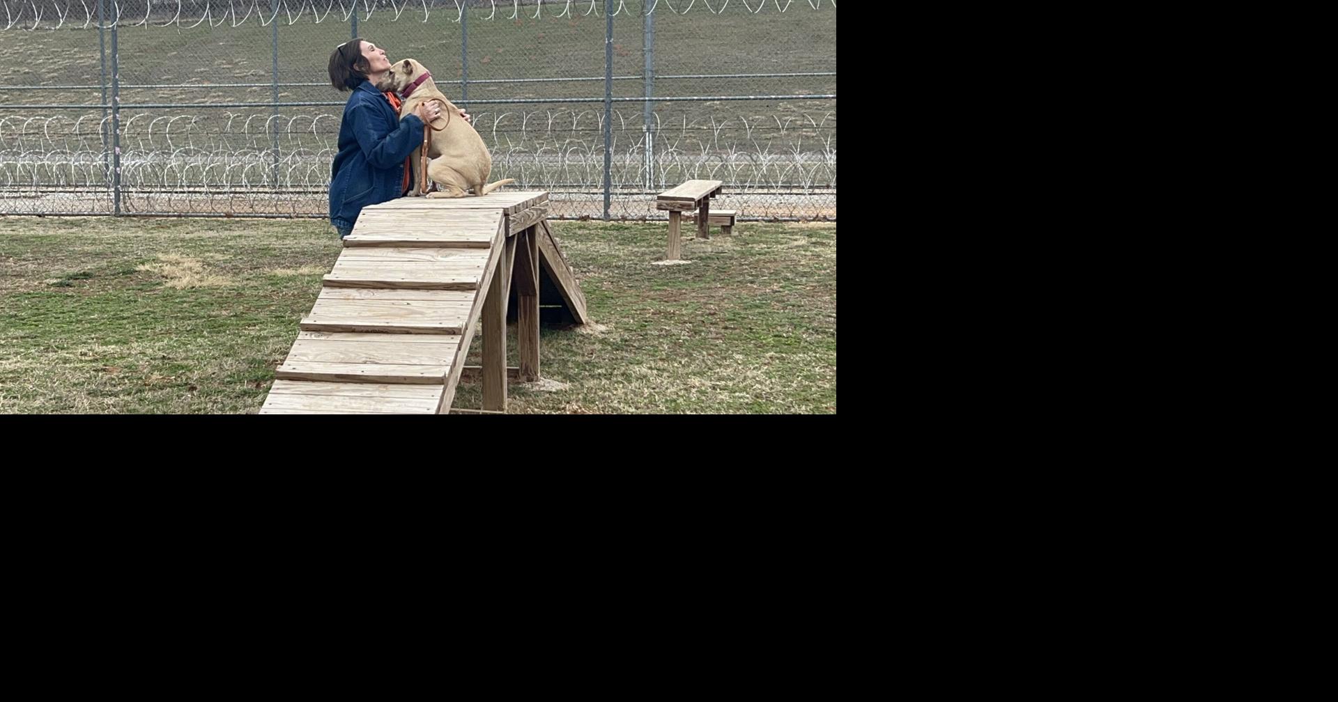 From cells to forever homes: Prison dog program returns with help from ...