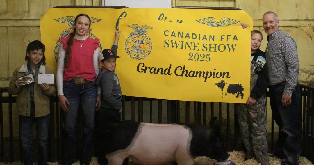 Canadian FFA Swine Show results | News | mcalesternews.com