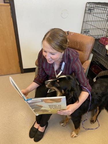 5 THINGS TO KNOW: How to enter your dog into the library’s photo ...