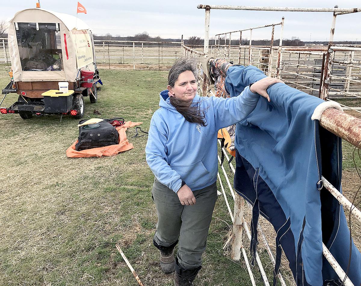Covered wagon driver travels for hunger awareness | News ...