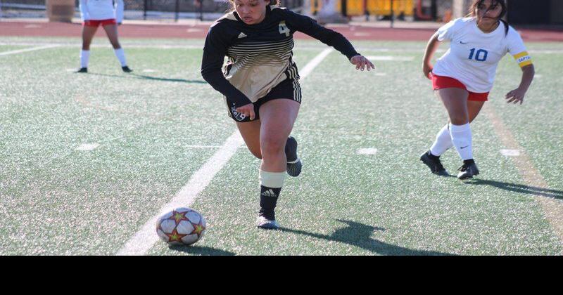 GIRLS SOCCER: Lady Buffs pursuing playoff history once again | Local ...