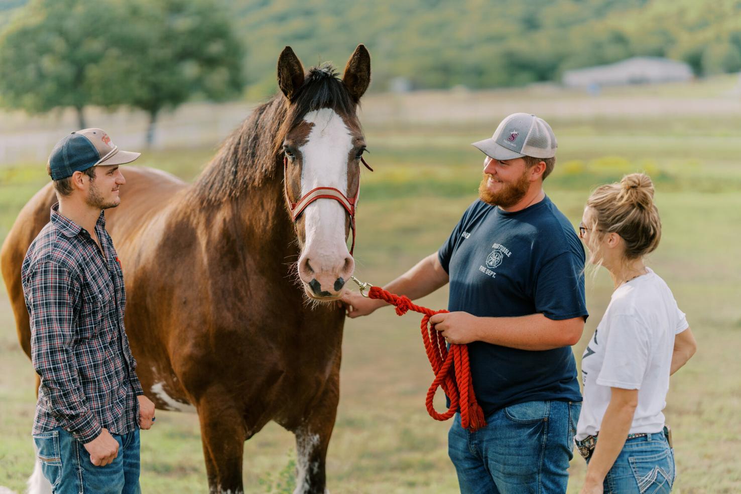 Verner Ranch expanding in a big way — with Verner Family Clydesdales ...