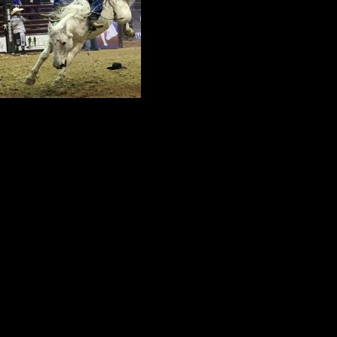'The Buck Starts Here' HiLo Pro Rodeo set for Expo | Local News ...