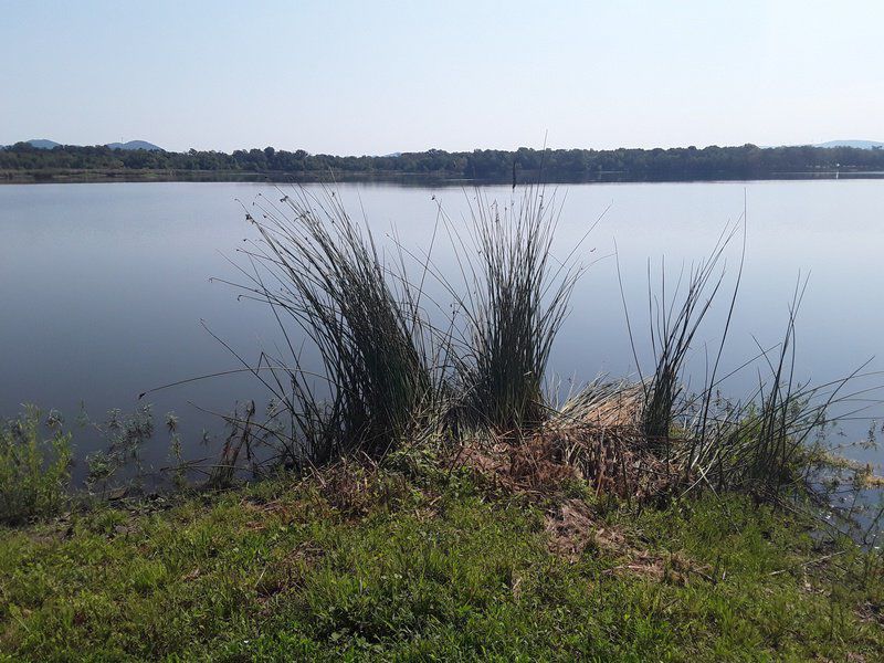 CATHEY: Nanih Waiya: 'Mother Mound' and First Capital of the Choctaw ...