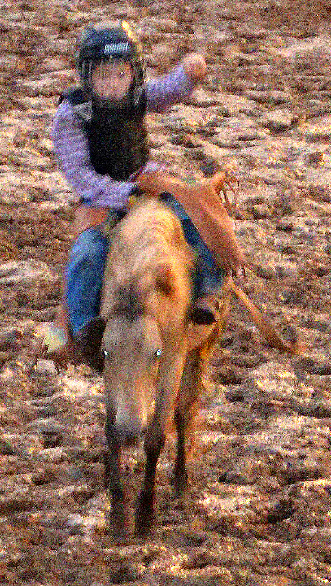 Photo Gallery: Founders Day Rodeo in Pittsburg | Local Sports ...