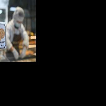 Stocks shrug off mixed US jobs data to advance | National News ...